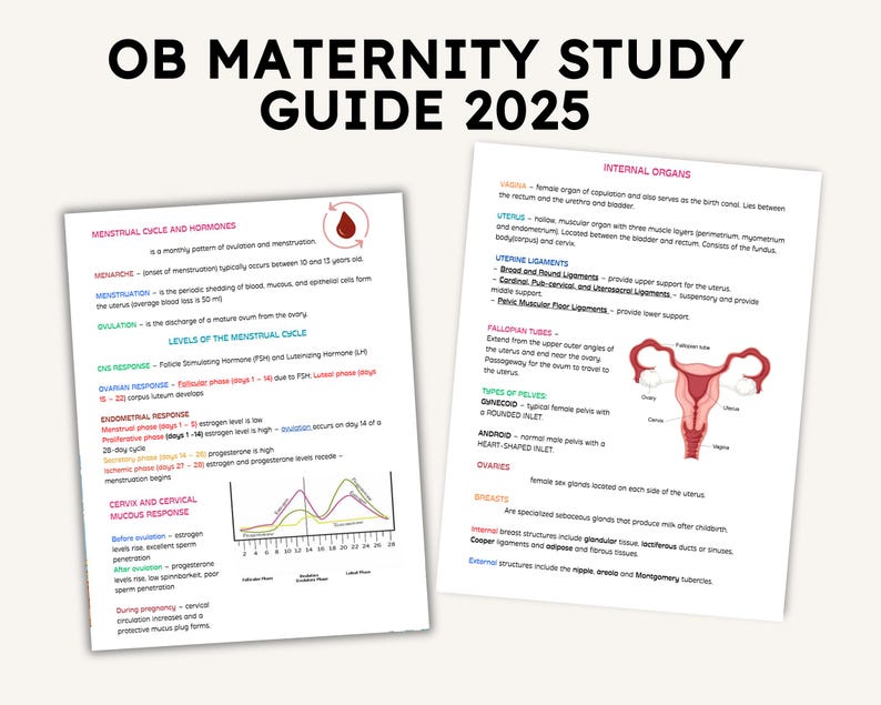 Next Generation Maternity Nursing Study Guide Bundle Perfect for ...