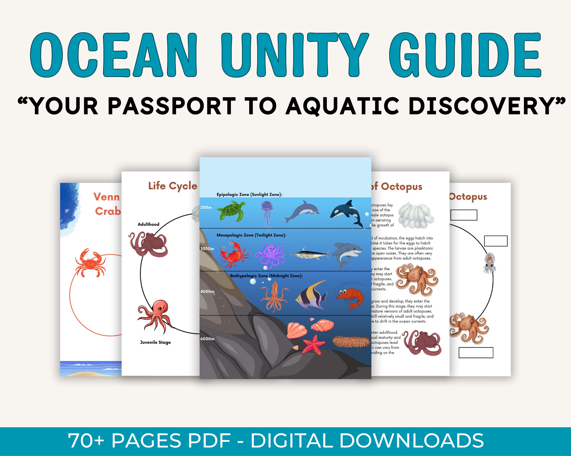 Ocean Unit Study 2024, Ocean Layers, Ocean Animals Study, Ocean ...