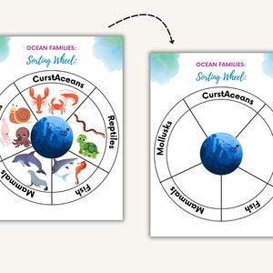 Ocean Unit Study 2024, Ocean Layers, Ocean Animals Study, Ocean ...