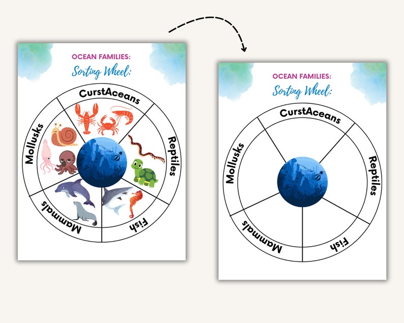 Ocean Unit Study 2024, Ocean Layers, Ocean Animals Study, Ocean ...