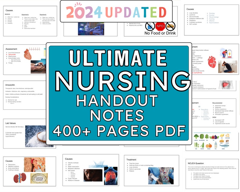 Nursing School Study Guide: 400+ Pages (PDF Download) - Etsy