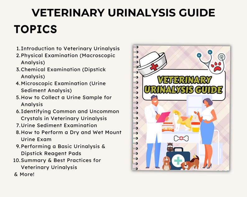 Veterinary Urinalysis Guide: Vet Tech & Student Notes (digital Download ...