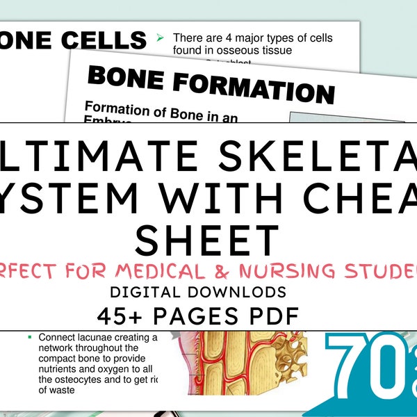 Skeleton System Anatomy - Etsy