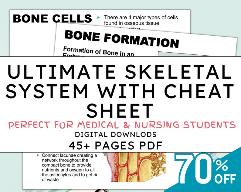 Skeletal System Notes 45 Pages With Cheat Sheet Intro to Skeletal ...
