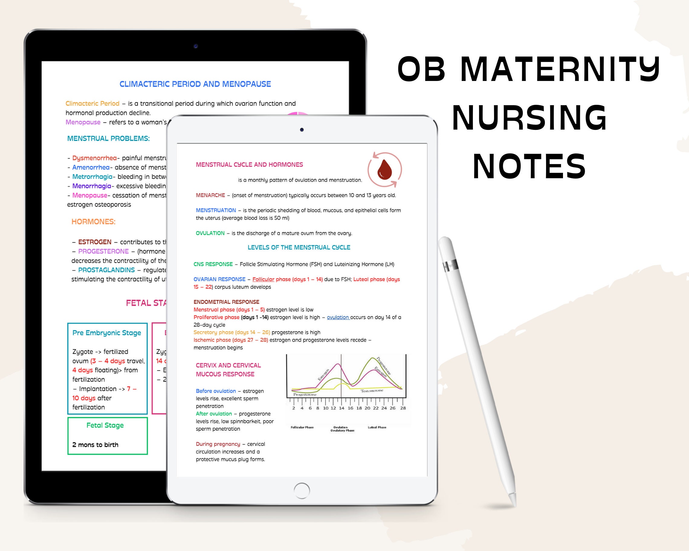 Next Generation Maternity Nursing Study Guide Bundle Perfect for Nursing Students - Etsy