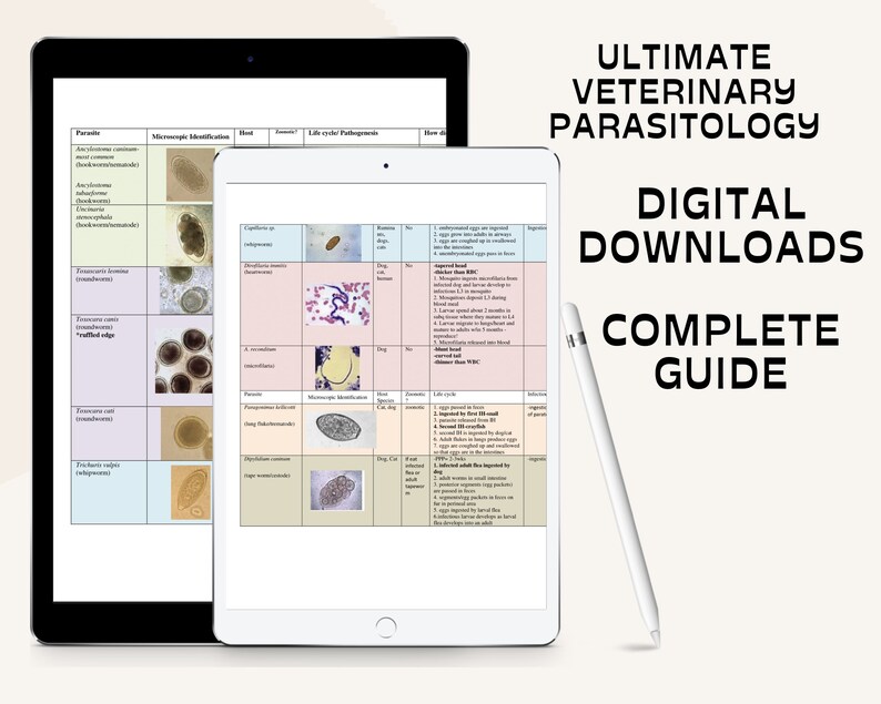 Veterinary Parasitology Study Guide, Vet Tech Notes, Vet Med Study ...