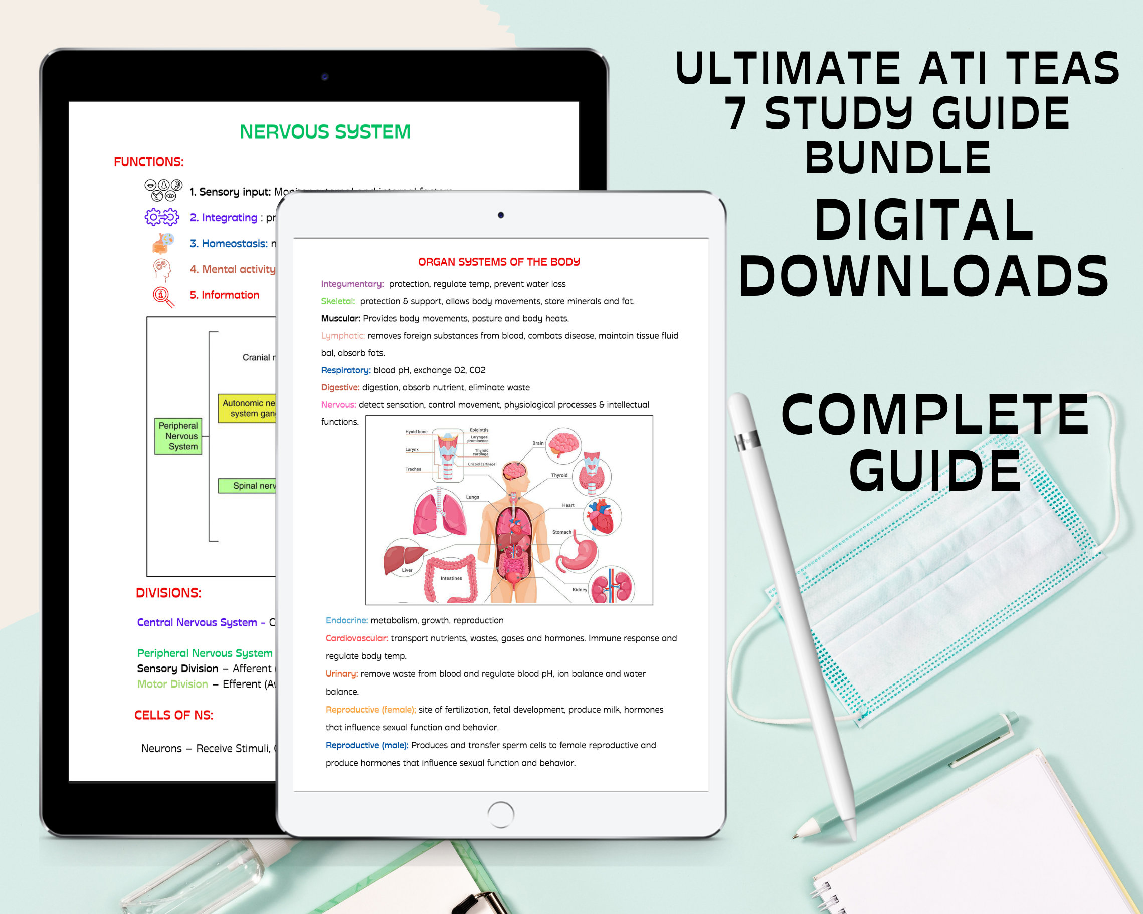 ATI TEAS 7 Study Guide 2024-25: Nursing Notes (digital Download) - Etsy
