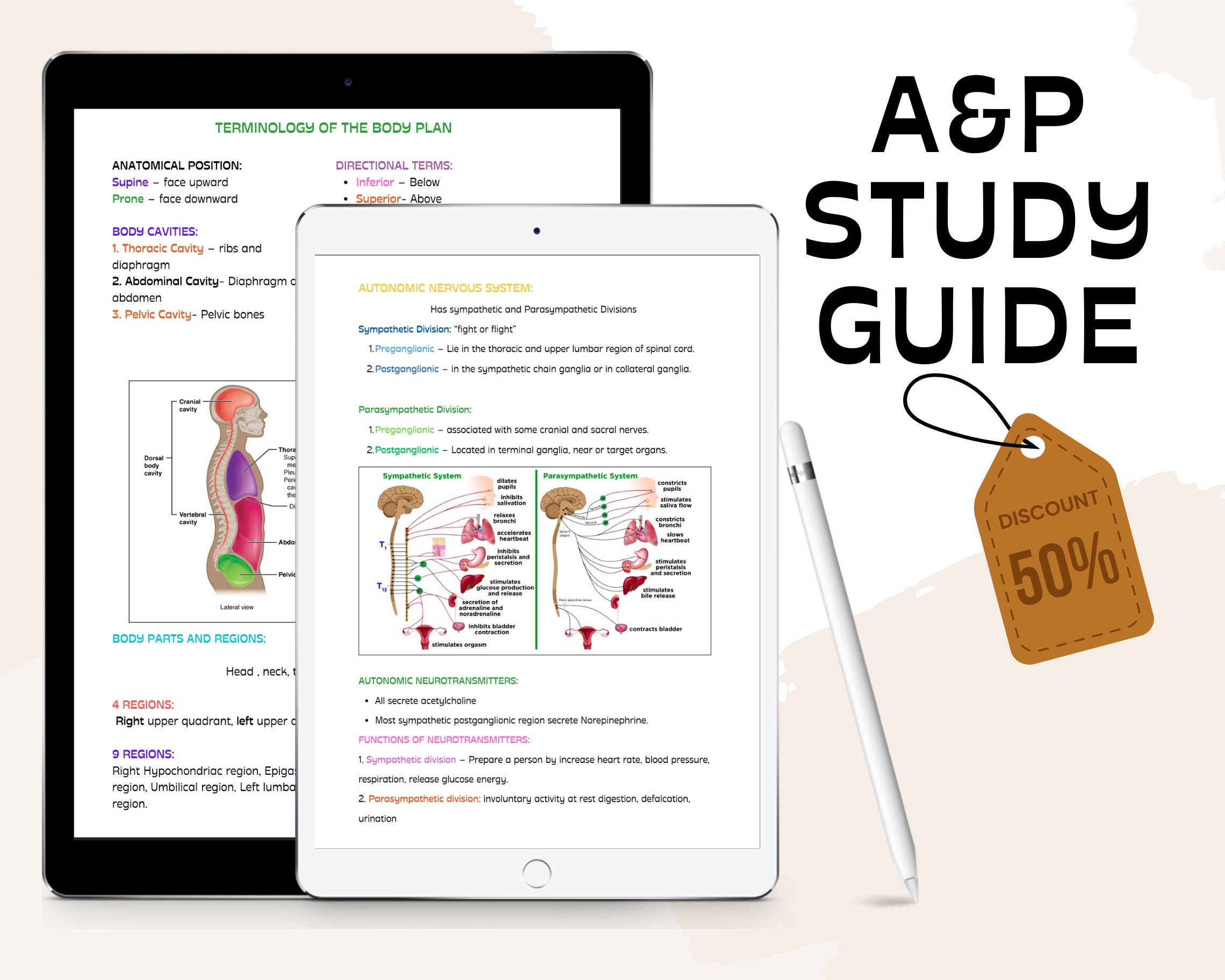 Anatomy Physiology Study Guide - Physiology Notes - Anatomy Notes ...