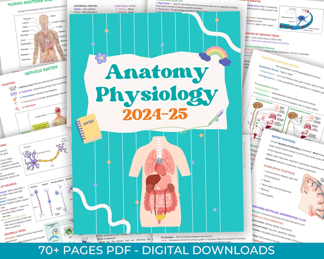 Anatomy Physiology Study Guide - Physiology Notes - Anatomy Notes ...