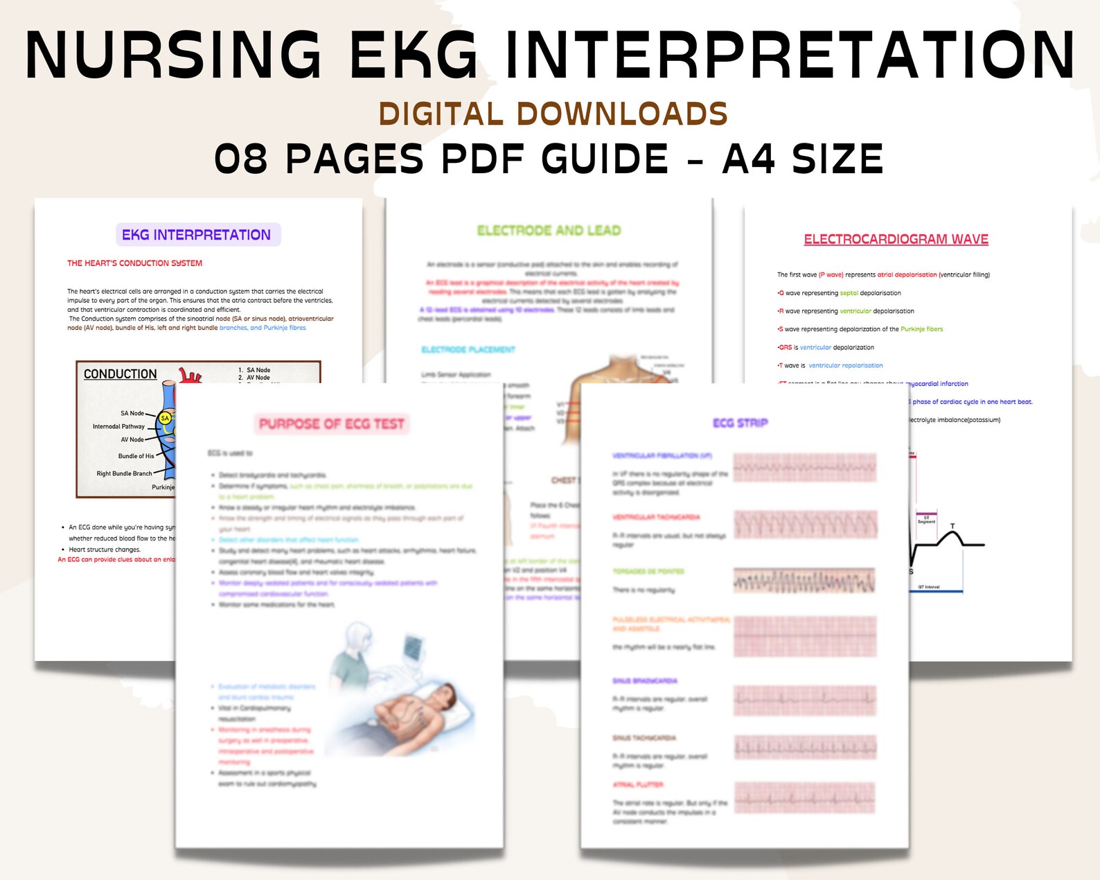 EKG Interpretation Nursing Study Guide – Cardiac Rhythms (digital ...