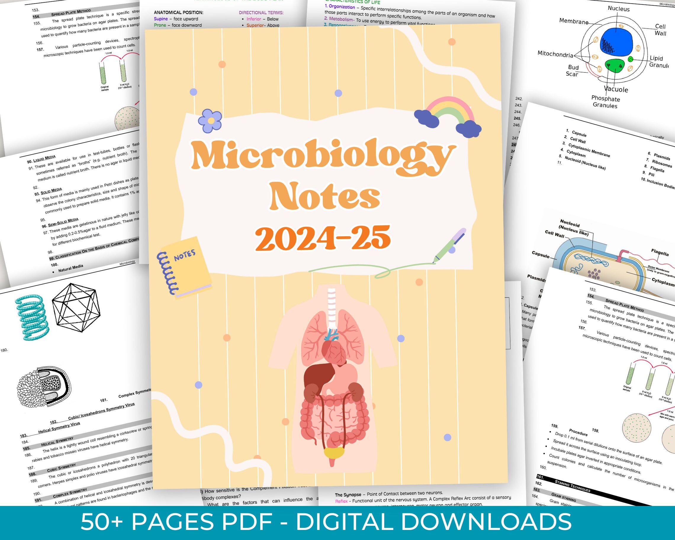 Ultimate Microbiology Notes Perfect for Medical Students to Prepare for ...