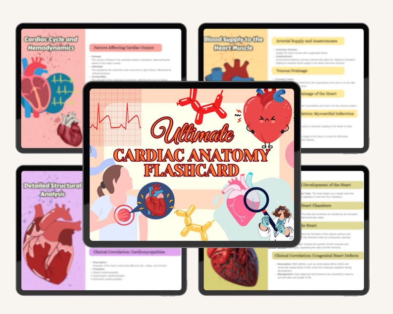 Cardiac Anatomy Flashcards | Cardiovascular System | Heart Anatomy ...