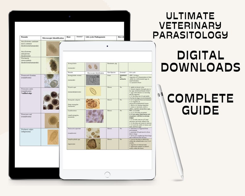 Veterinary Parasitology Study Guide, Vet Tech Notes, Vet Med Study ...