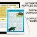Reptiles Unit Study, Crocodile Unit Study, Turtle Unit Study, Reptiles ...