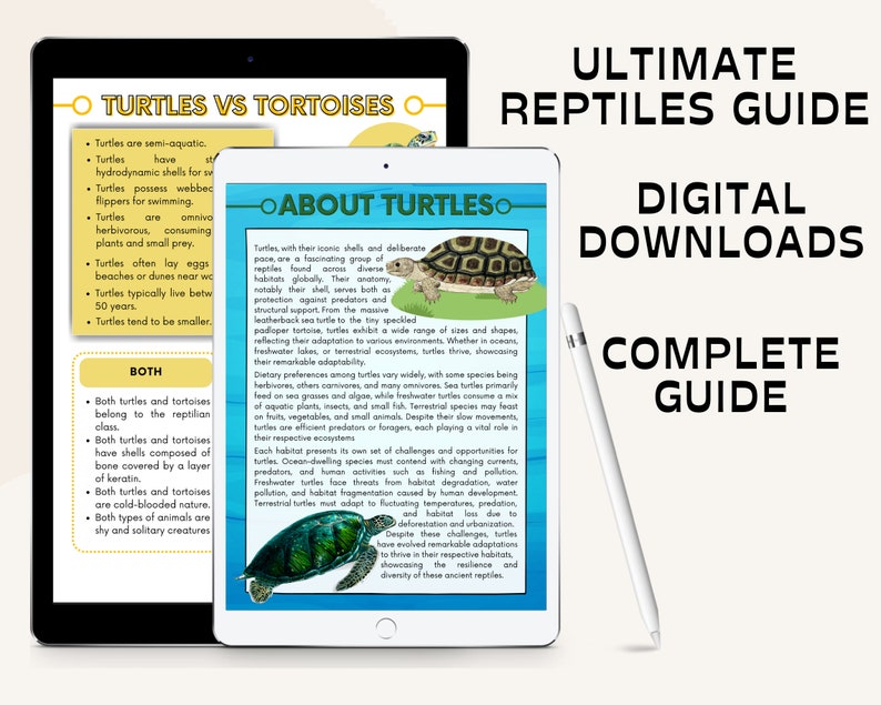 Reptiles Unit Study: Montessori Cards, Puzzles, Worksheets - Etsy