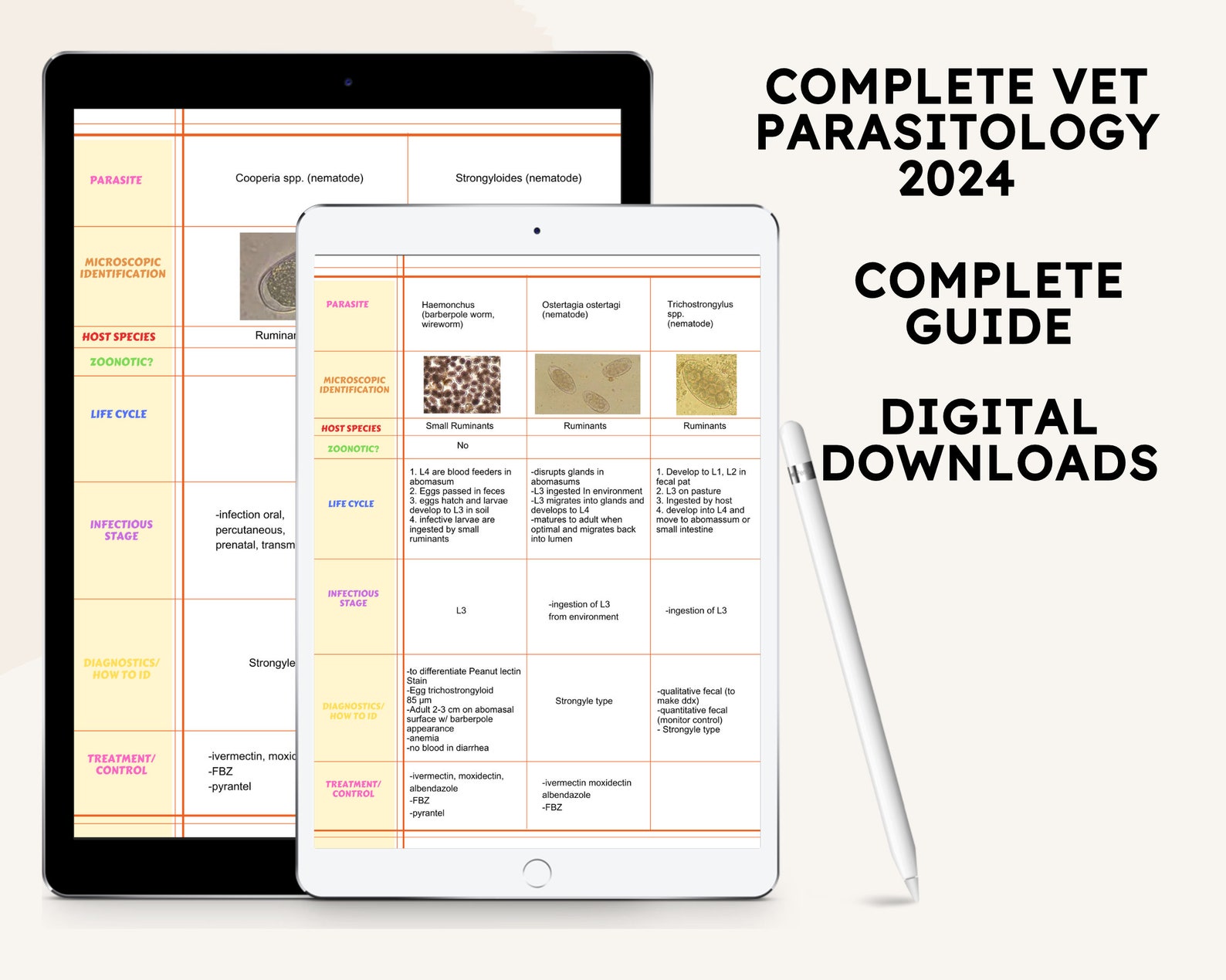 Veterinary Parasitology Study Guide: Vet Tech Notes Bundle (digital ...