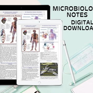 Microbiology Notes: Masterclass Cheat Sheet for Medical Students (PDF ...