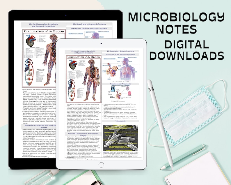 Microbiology Notes: Masterclass Cheat Sheet for Medical Students (PDF ...