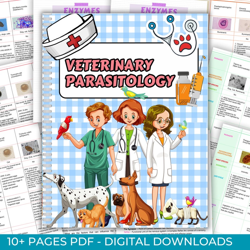 Veterinary - Etsy