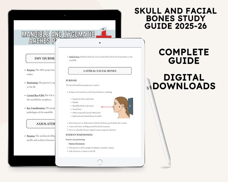 Skull & Facial Bones Positioning Study Guide – Rad Tech Review (digital ...