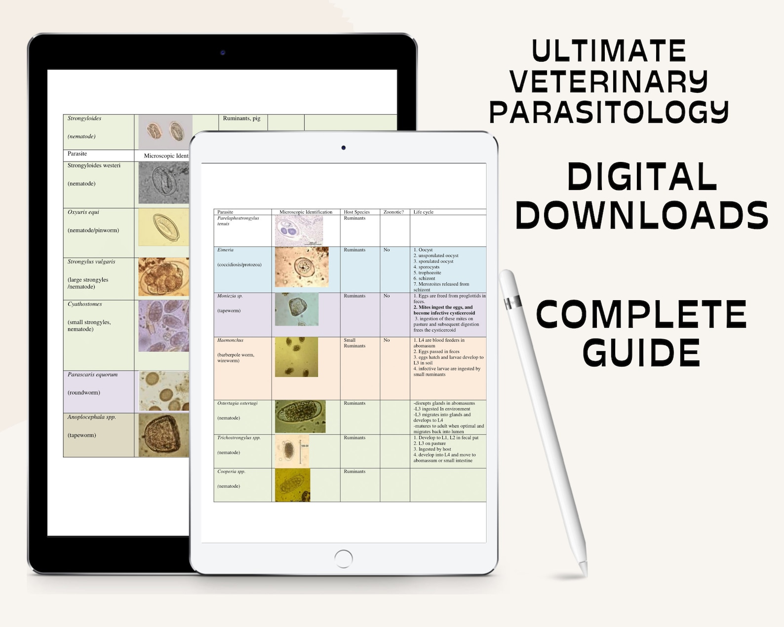 Veterinary Parasitology Study Guide: Vet Tech Notes Bundle (digital ...