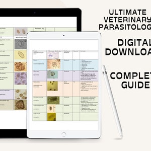 Veterinary Parasitology Study Guide: Vet Tech Notes Bundle (digital ...