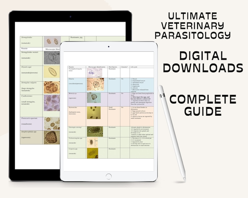 Veterinary Parasitology Study Guide: Vet Tech Notes Bundle (digital ...
