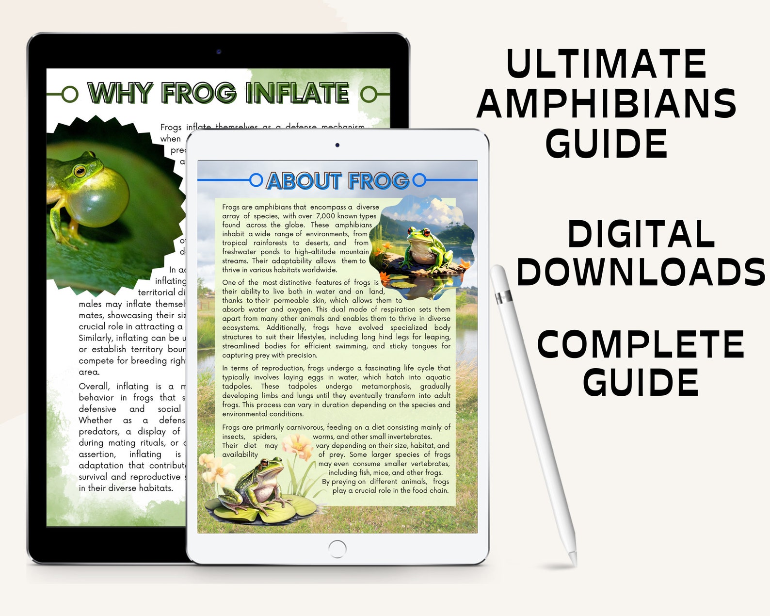 Amphibian Unit Mysteries Unfolded: A Complete Study Companion ...
