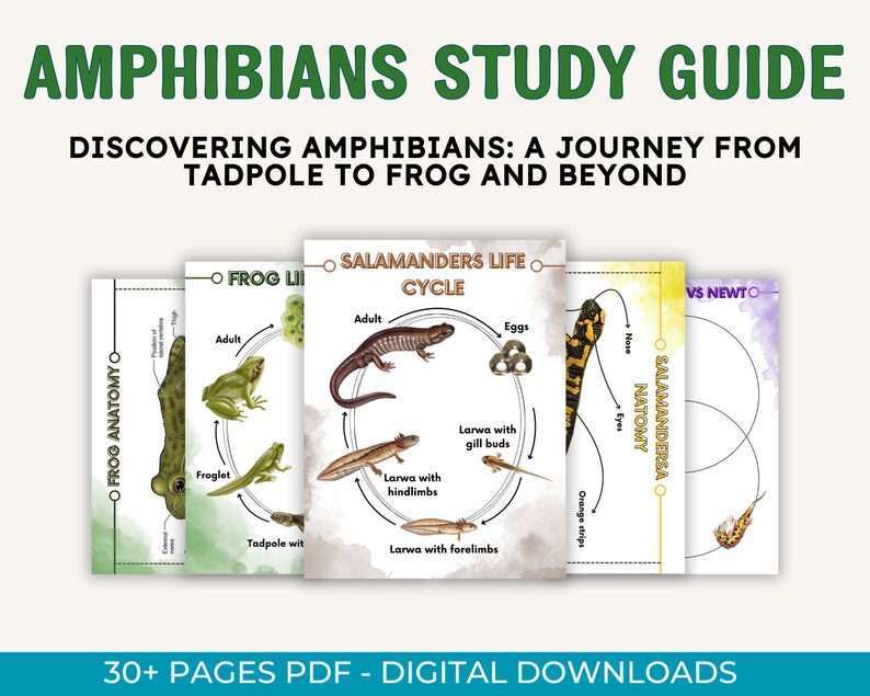 Amphibian Unit Mysteries Unfolded: A Complete Study Companion ...