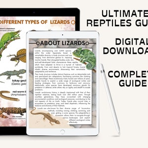 Reptiles Unit Study: Montessori Cards, Puzzles, Worksheets - Etsy