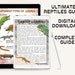 Reptiles Unit Study, Crocodile Unit Study, Turtle Unit Study, Reptiles ...