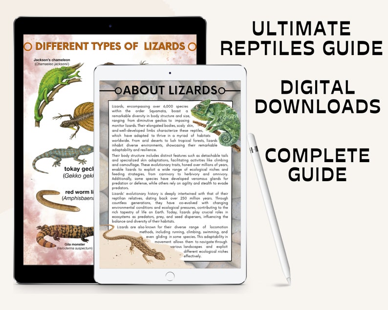 Reptiles Unit Study, Crocodile Unit Study, Turtle Unit Study, Reptiles ...
