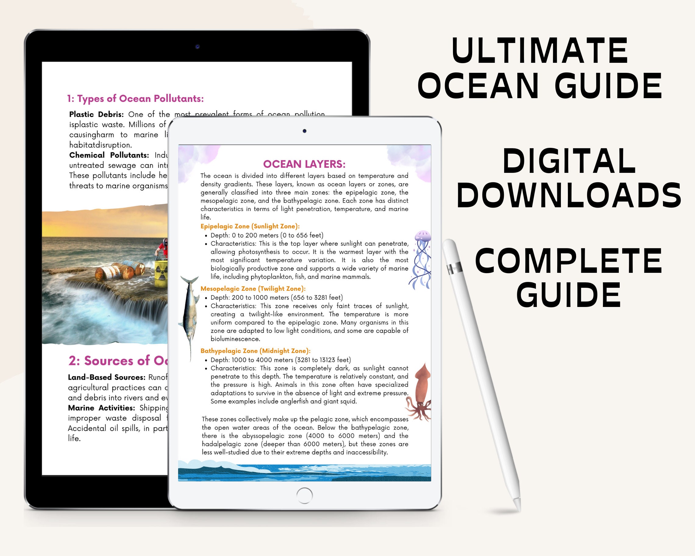 Ocean Unit Study 2024, Ocean Layers, Ocean Animals Study, Ocean ...