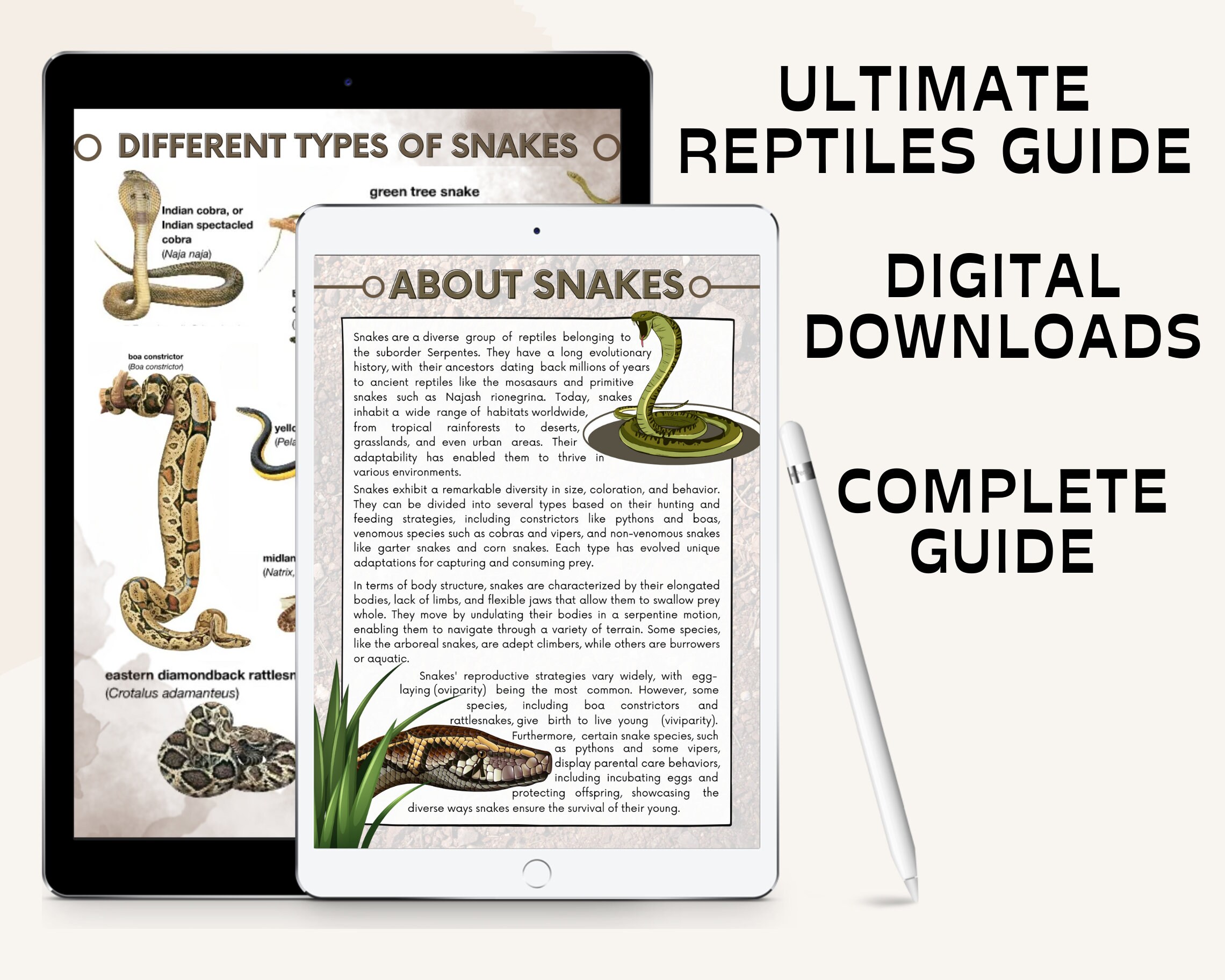 Reptiles Unit Study: Montessori Cards, Puzzles, Worksheets - Etsy