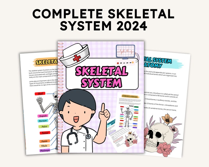 Skeletal System Notes 45+ Pages With Cheat Sheet ~ Intro to Skeletal ...