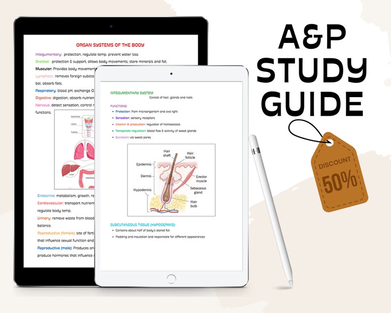 Anatomy Physiology Study Guide - Physiology Notes - Anatomy Notes ...