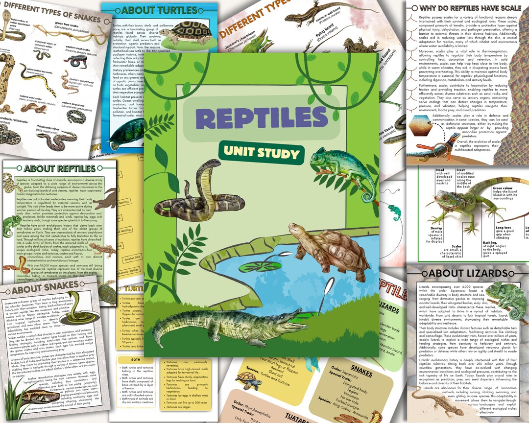 Reptiles Unit Study, Crocodile Unit Study, Turtle Unit Study, Reptiles ...