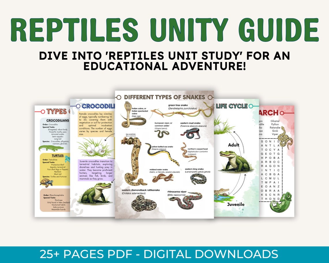 Reptiles Unit Study, Crocodile Unit Study, Turtle Unit Study, Reptiles ...