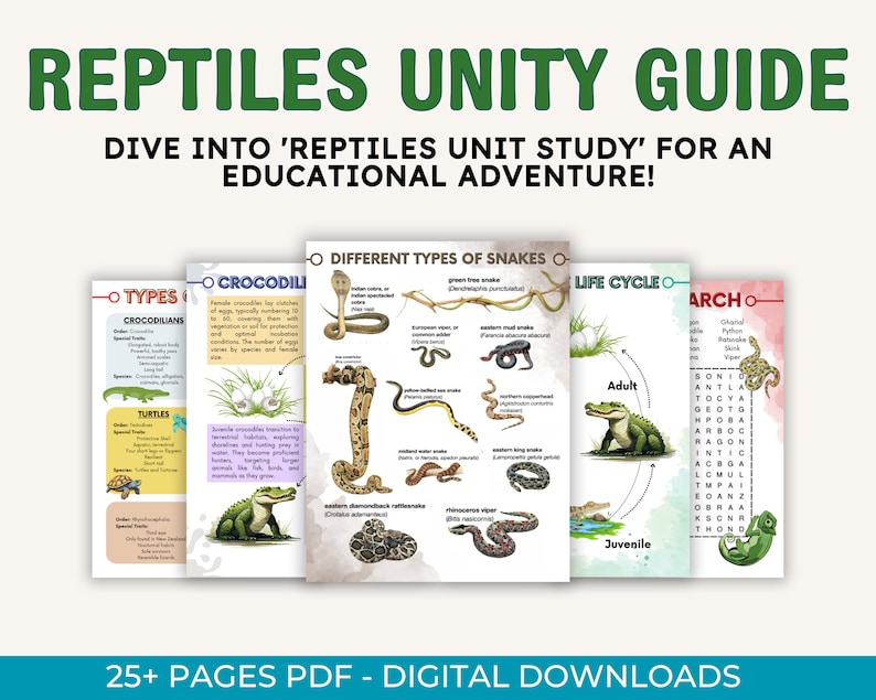 Reptiles Unit Study, Crocodile Unit Study, Turtle Unit Study, Reptiles ...