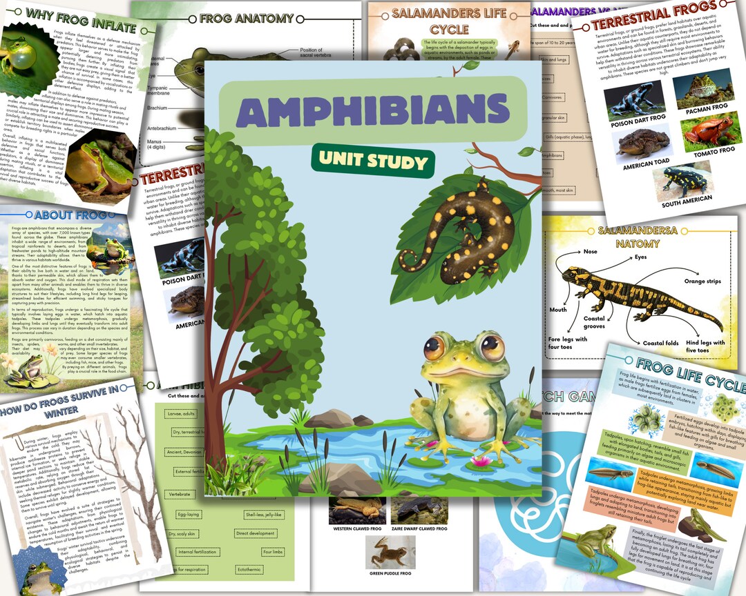 Amphibian Unit Mysteries Unfolded: A Complete Study Companion ...