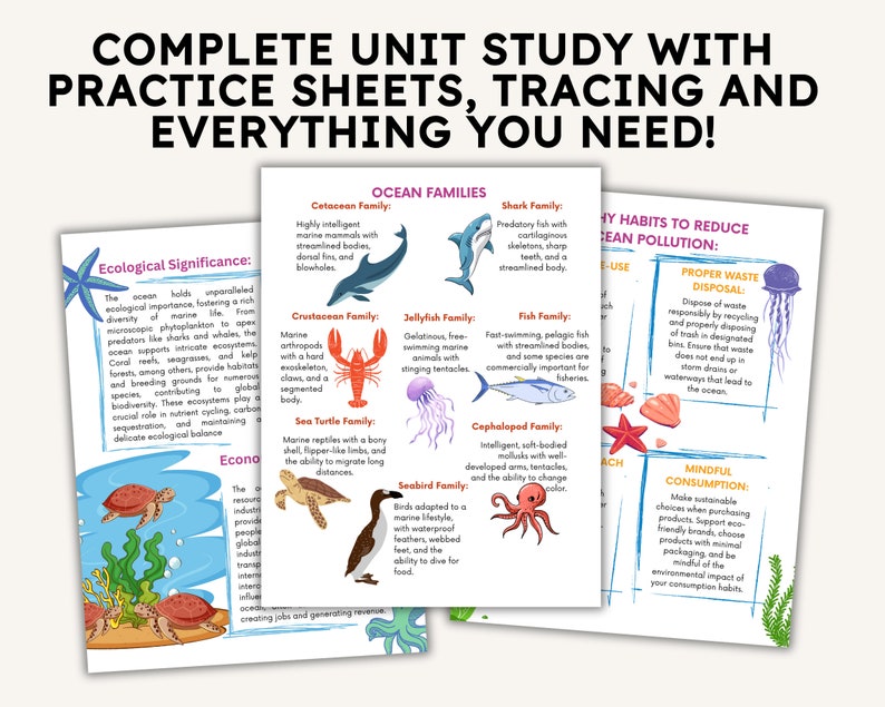 Ocean Unit Study 2024, Ocean Layers, Ocean Animals Study, Ocean ...