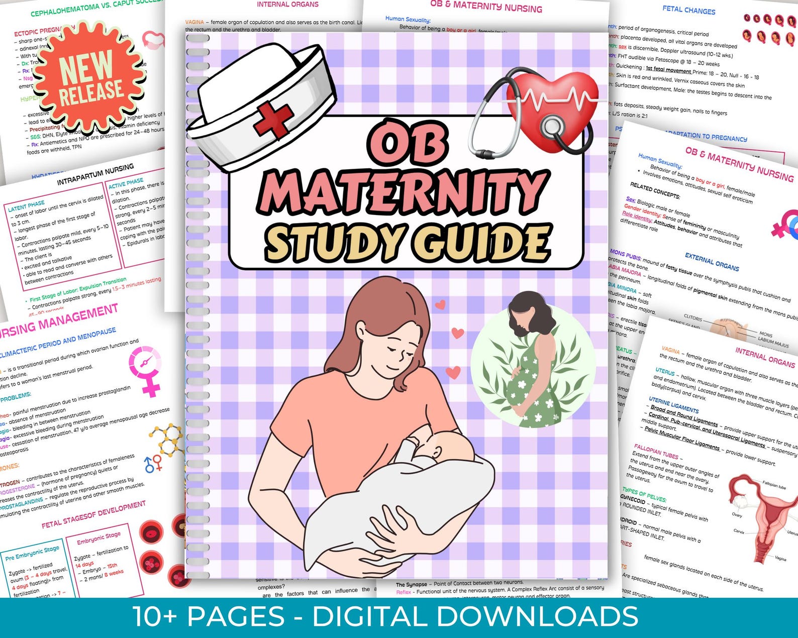 Maternity Nursing Study Guide Bundle for Students (digital Download) - Etsy