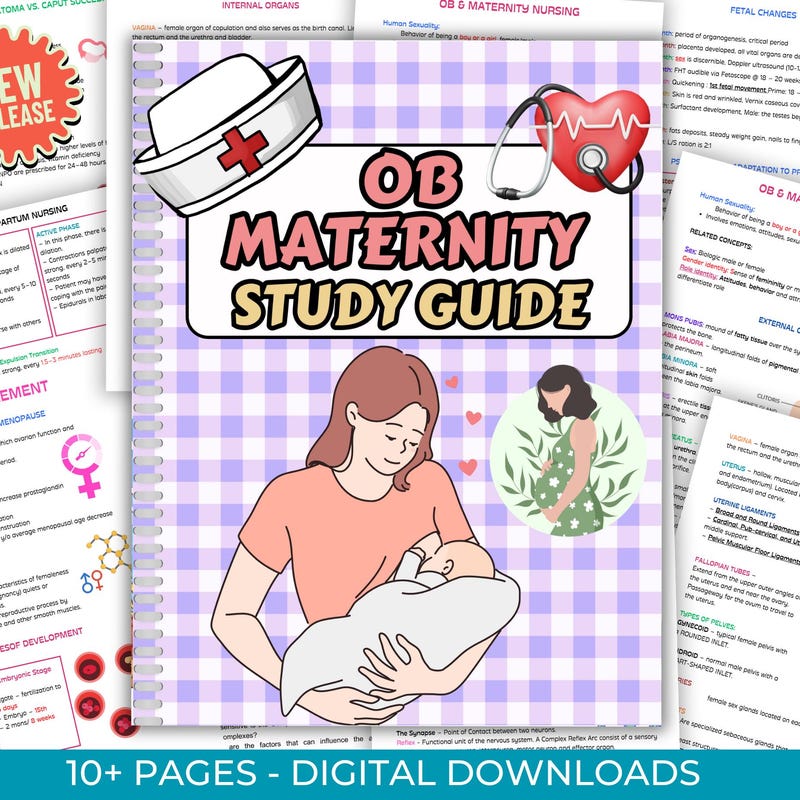 Maternity Study Guide - Etsy