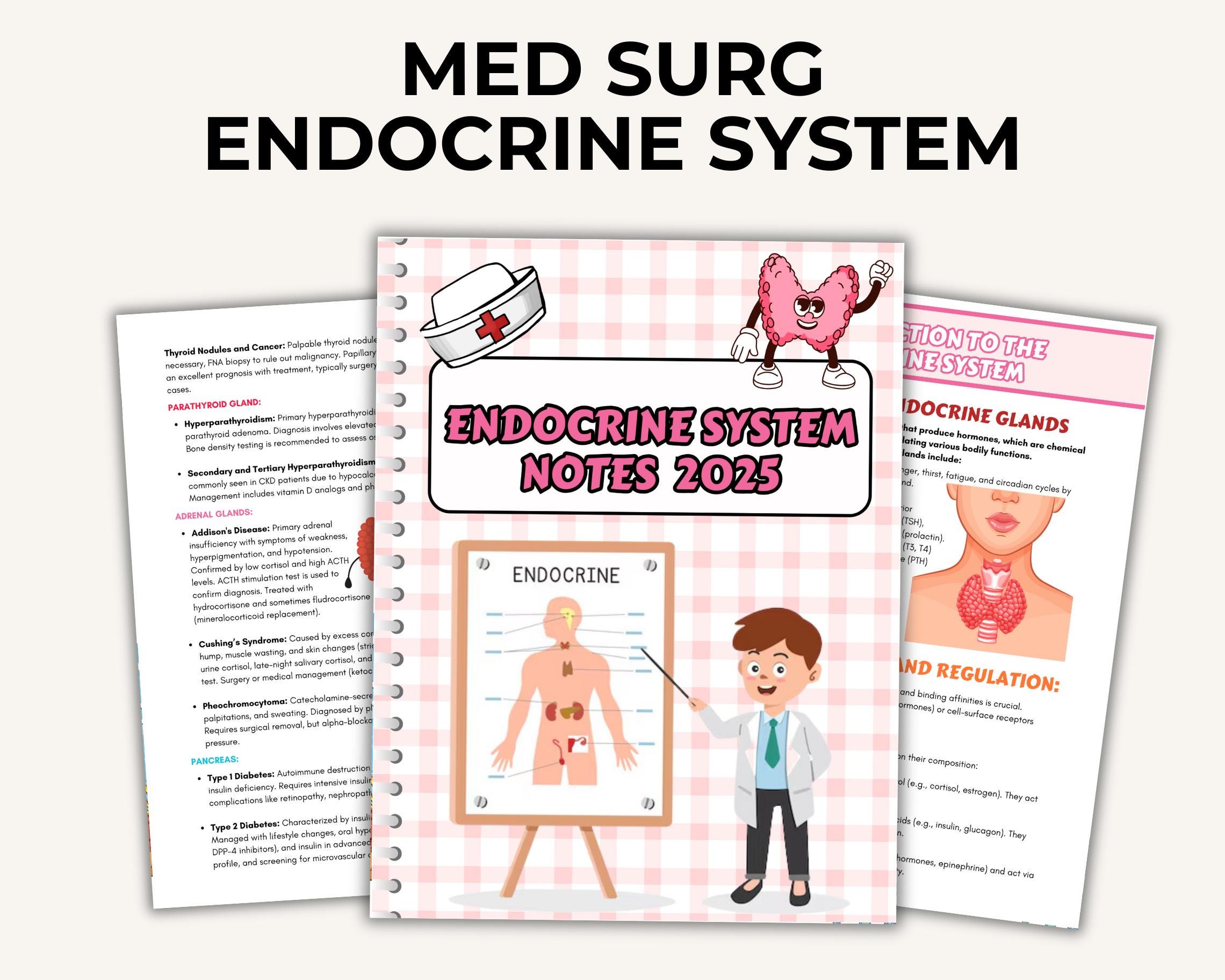Endocrine System Nursing Study Guide, Endocrine Disorders, Endocrine ...