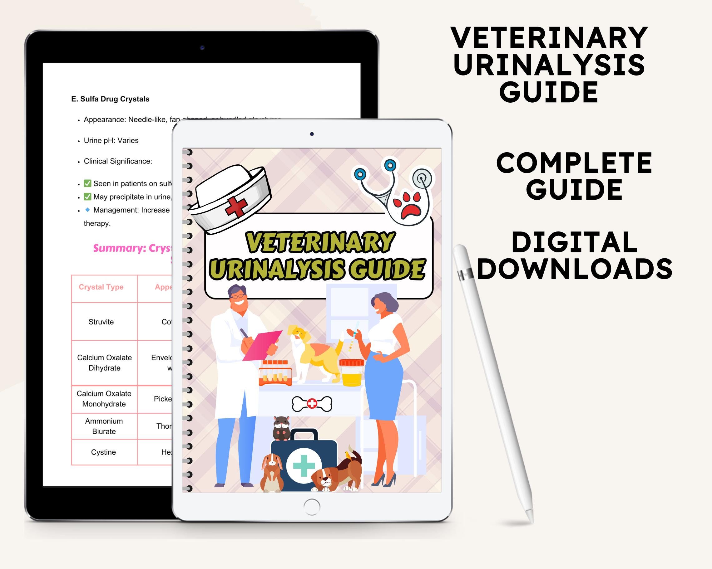 Veterinary Urinalysis Guide: Vet Tech & Student Notes (digital Download ...