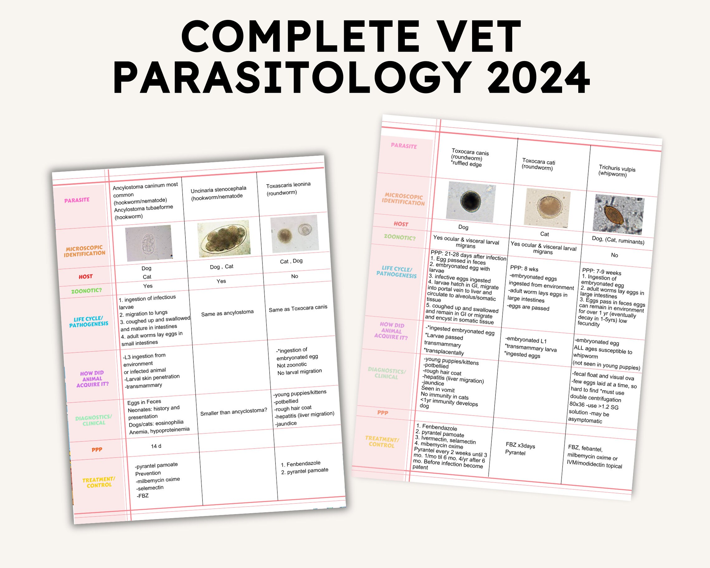 Veterinary Parasitology Study Guide: Vet Tech Notes Bundle (digital ...