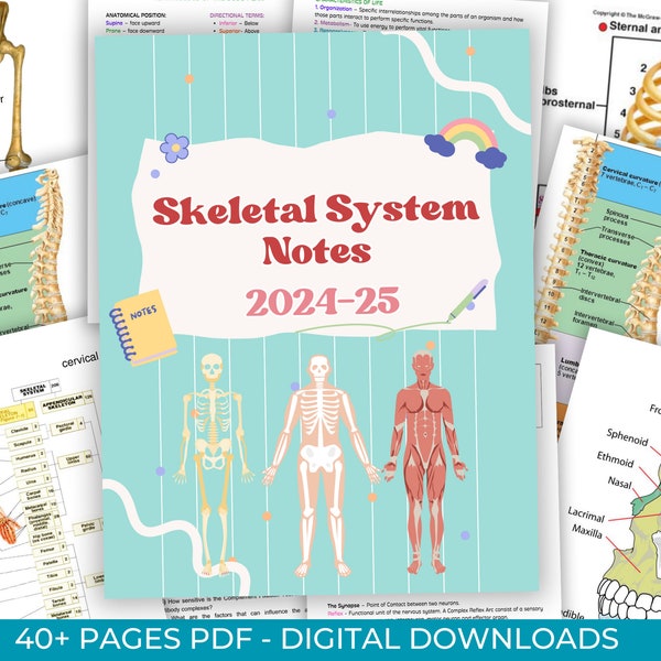 Anatomy Flashcards - Etsy