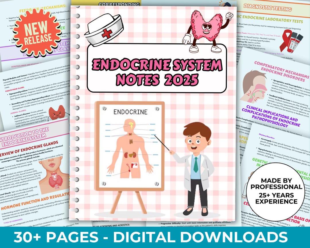 Endocrine System Nursing Study Guide, Endocrine Disorders, Endocrine ...