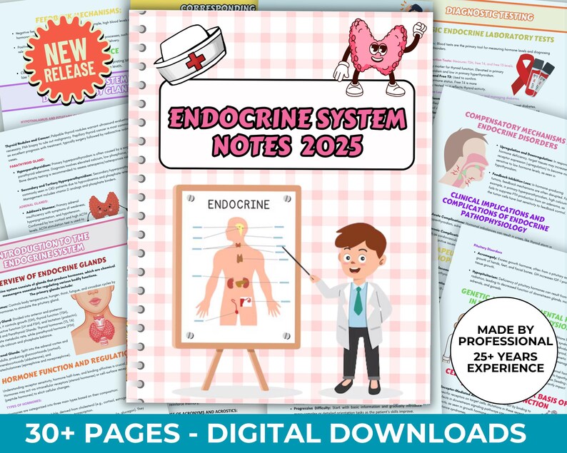 Endocrine System Nursing Study Guide, Endocrine Disorders, Endocrine ...