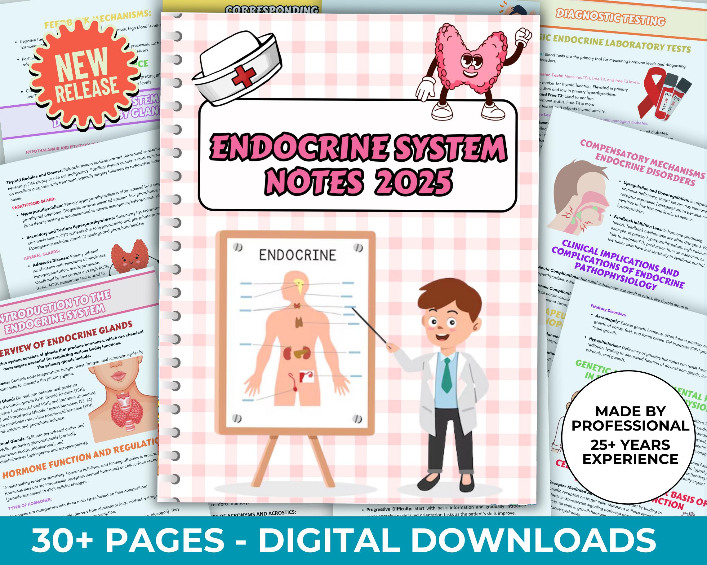 Endocrine System Nursing Study Guide, Endocrine Disorders, Endocrine ...